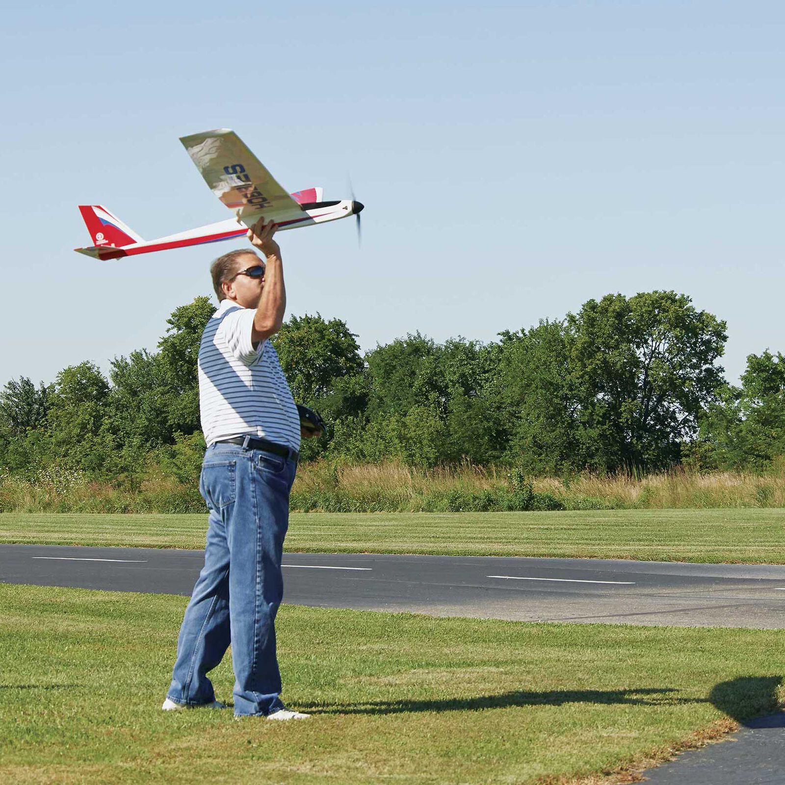 Tower Hobbies Vista Brushless Sailplane ARF 78.5" | Tower Hobbies