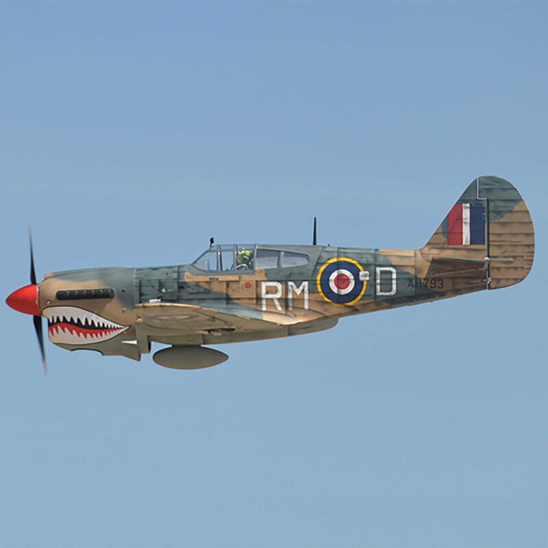 Phoenix Model P-40 Warhawk 35-55cc ARF | Tower Hobbies