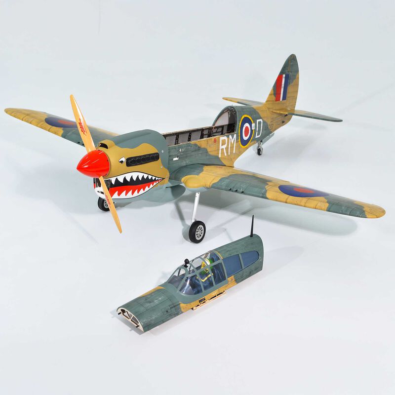 p40 warhawk rc