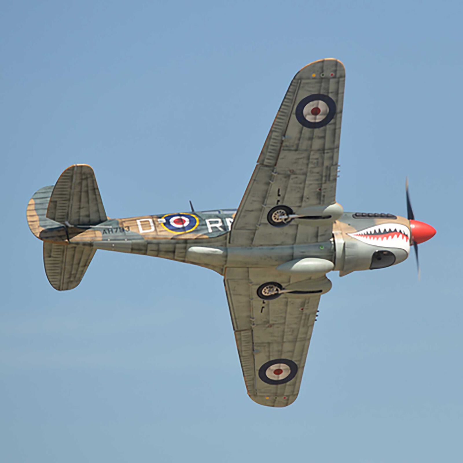 Phoenix Model P-40 Warhawk 35-55cc ARF | Tower Hobbies