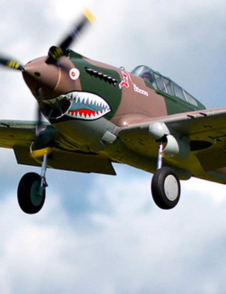 RC Airplanes | Tower Hobbies